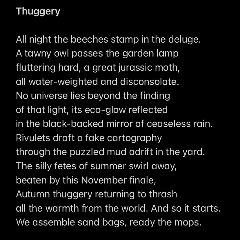 Open Arts Forum | Thuggery