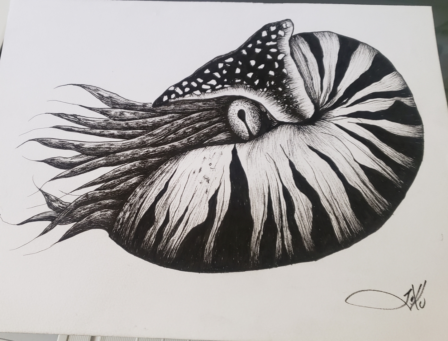 Open Arts Forum | nautilus