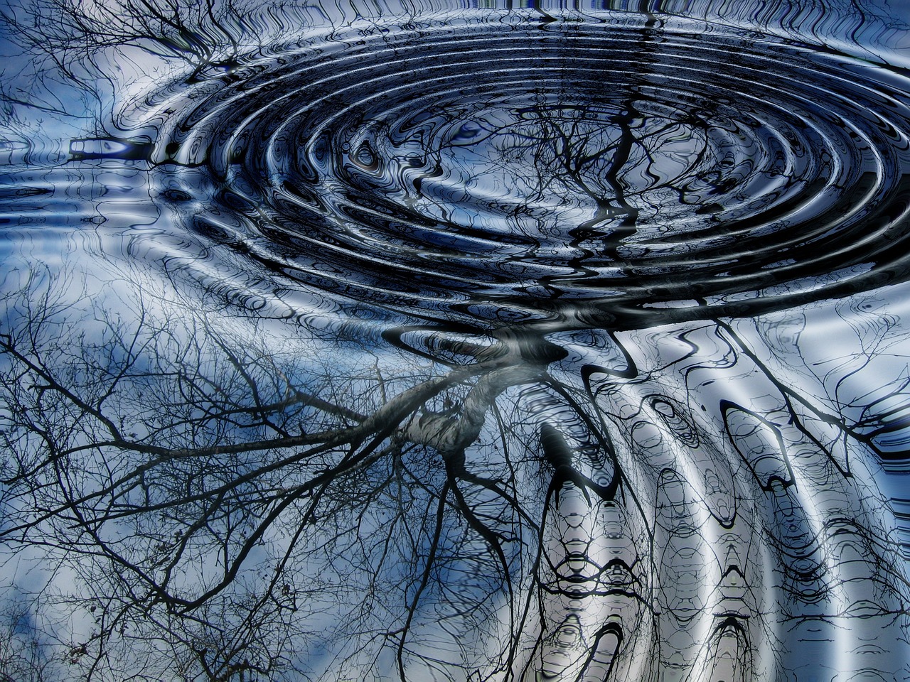 Open Arts Forum | The Tree Ring Record