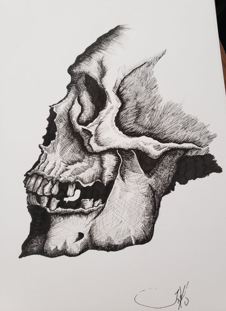 Open Arts Forum | Side profile skull